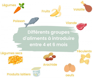 Diversification alimentaire bébé : Comment bien commencer