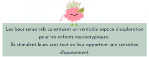 Bac sensoriel : manipuler, sentir, observer... apprendre en jouant